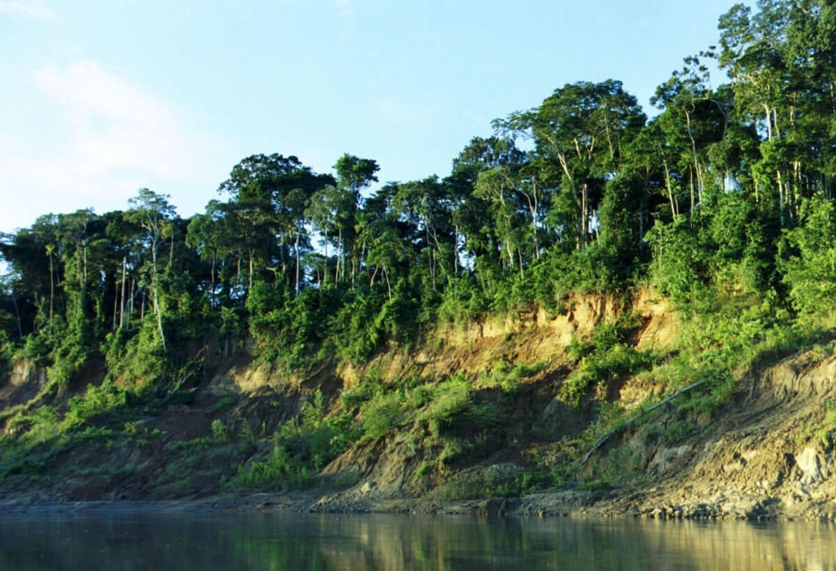 Manú National Park: Where Andes Meet Amazon | LAC Geo