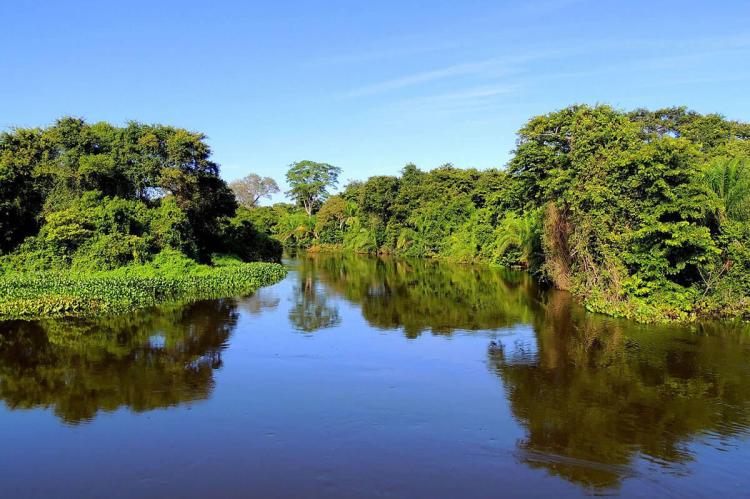 The Pantanal: A Wetland Eden of Biodiversity | LAC Geo