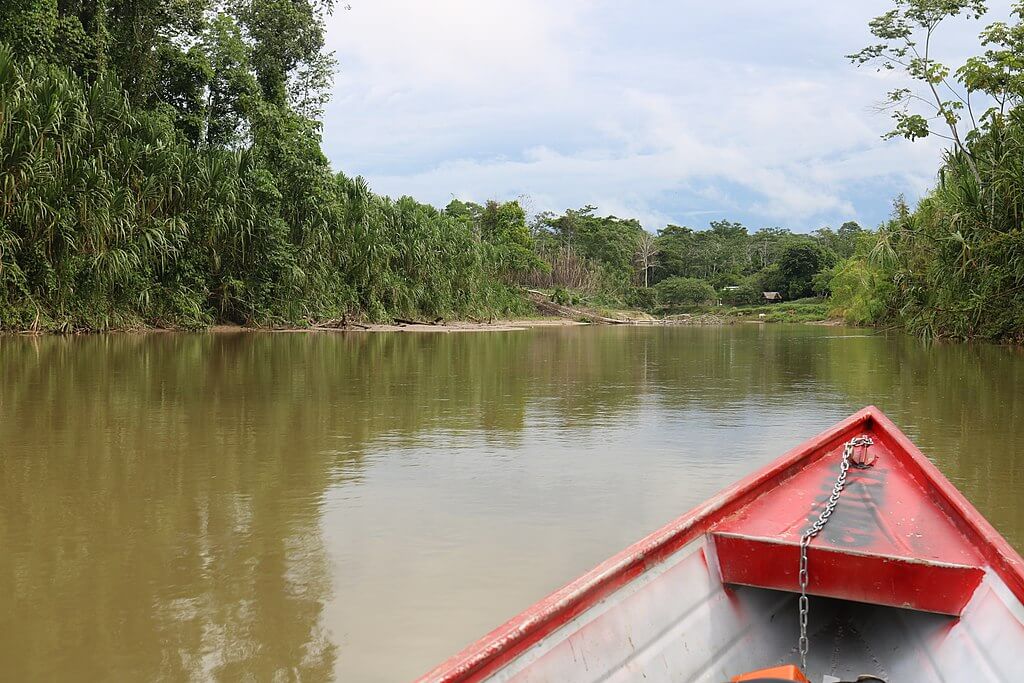 Juruá River: A Meandering Giant of the Amazon | LAC Geo