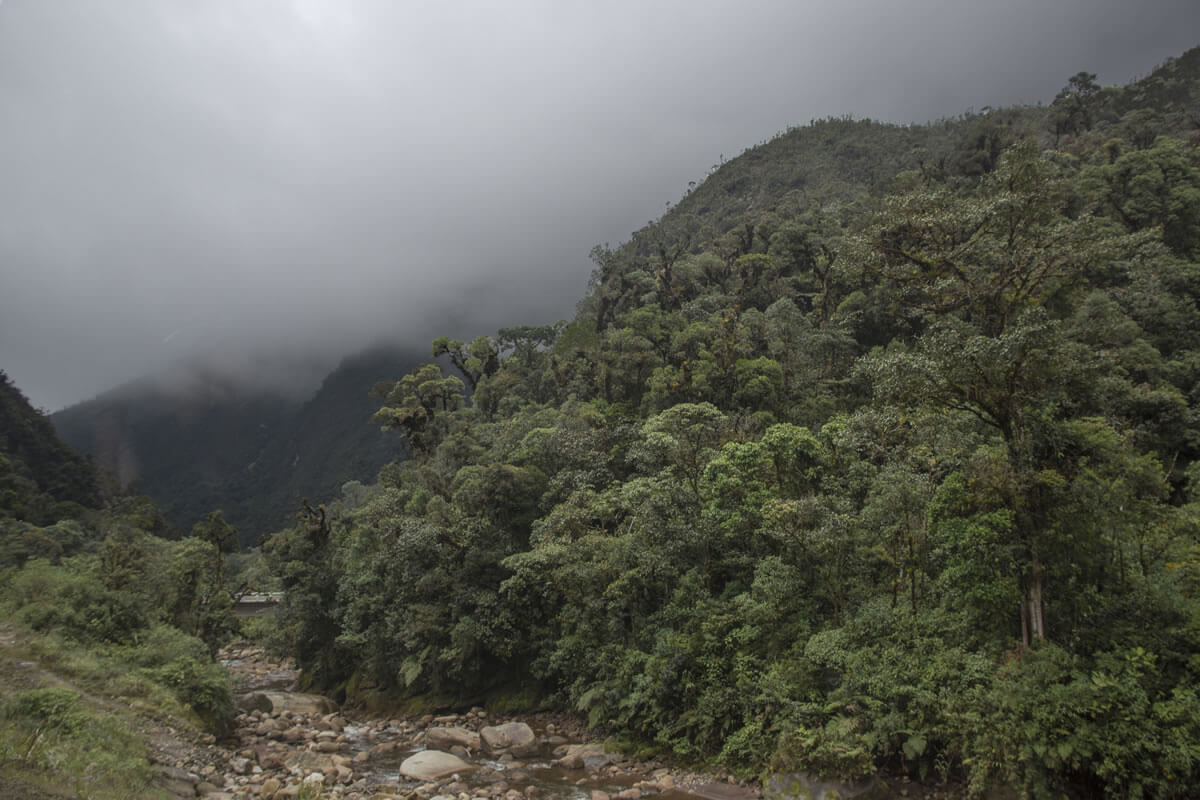 Alto Mayo Protection Forest: Safeguarding Peru's Biodiversity | LAC Geo