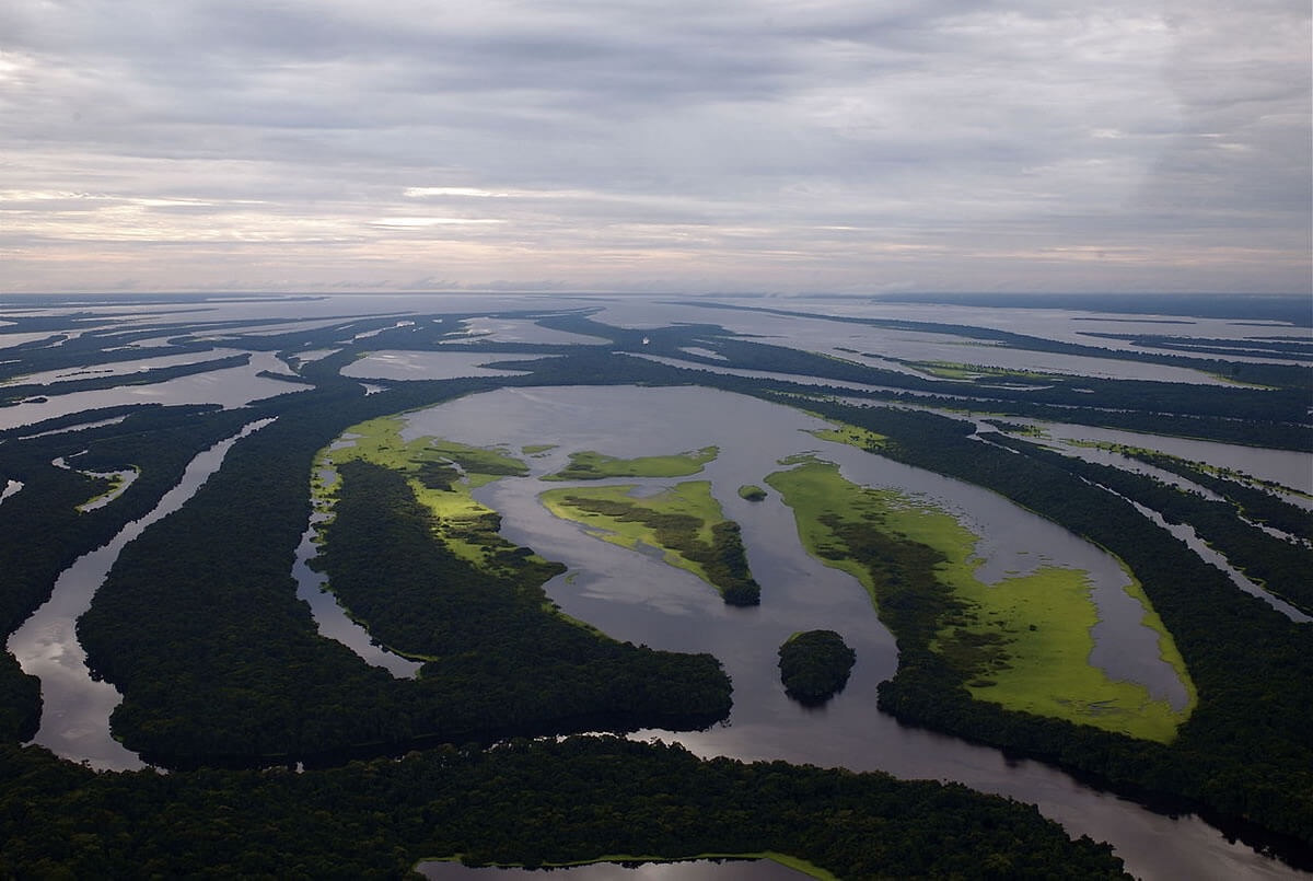 Central Amazon Conservation Complex: Guardian of the Amazon | LAC Geo