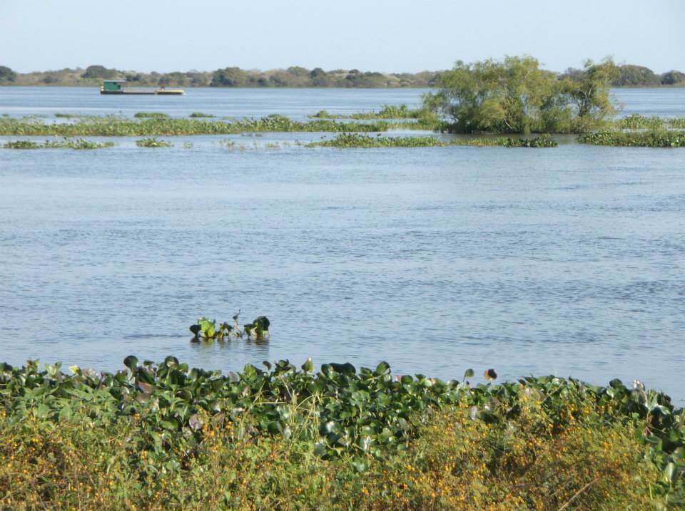 The Natural Landscape of Paraguay | LAC Geo