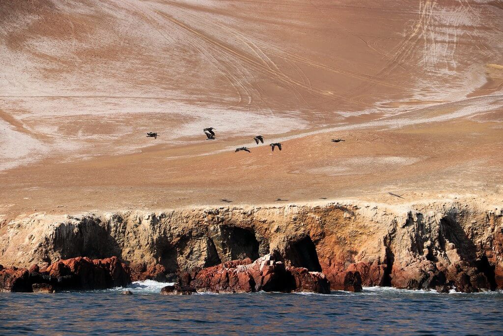 The Guano Reserve System: A Haven Along Peru's Coast | LAC Geo