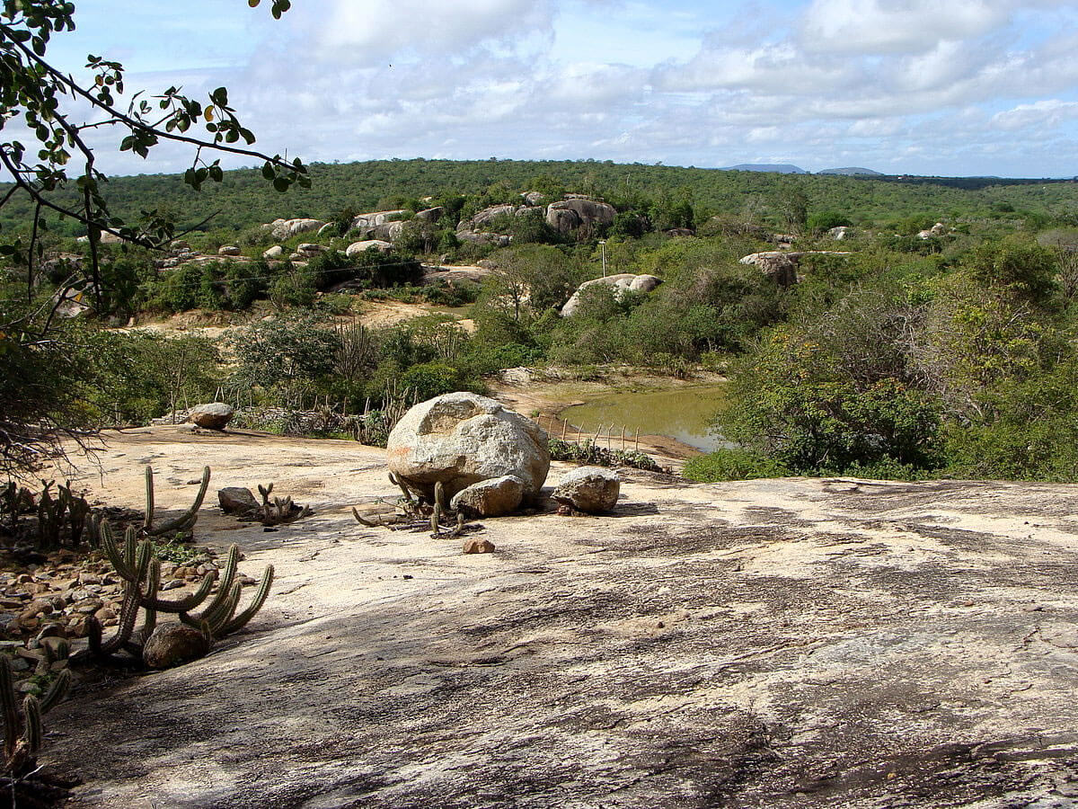 Caatinga Biosphere Reserve: Embracing the White Forest | LAC Geo
