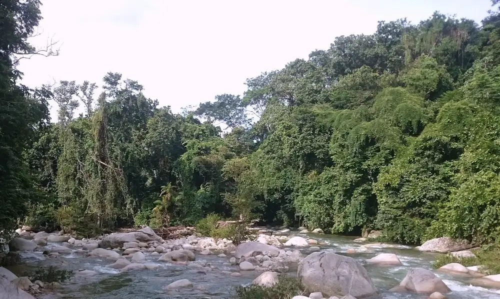 Exploring the Enchanting Catatumbo Moist Forests of Colombia ...