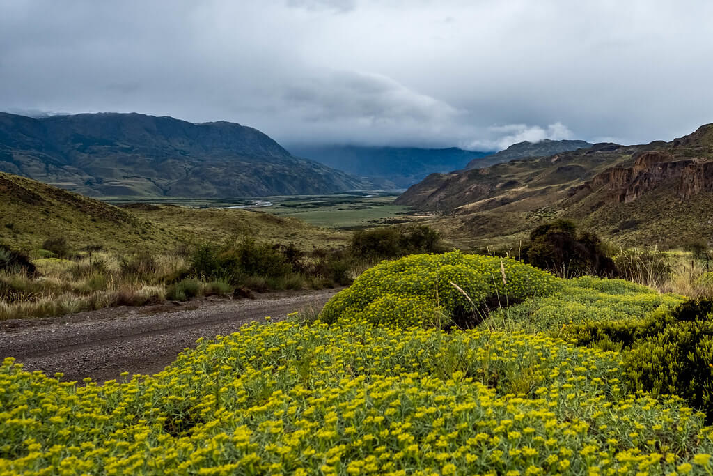 Patagonia National Park: The Heart of Chilean Wilderness | LAC Geo