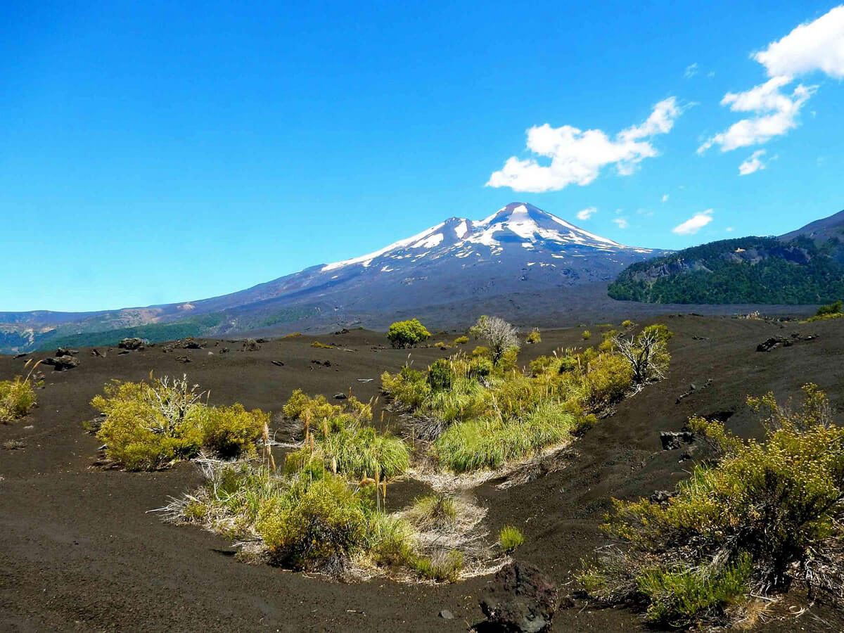 Conguillío National Park & Araucarias Biosphere Reserve: A Volcanic ...