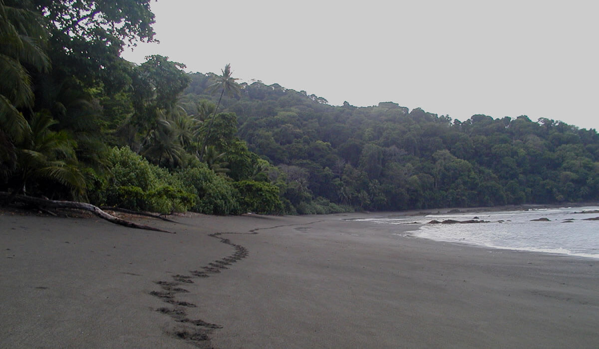 SINAC: Costa Rica's Blueprint for Conservation Success | LAC Geo