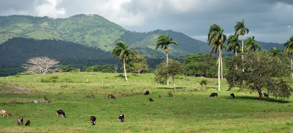 Hispaniola: Crucible of History, Culture, & Biodiversity | LAC Geo