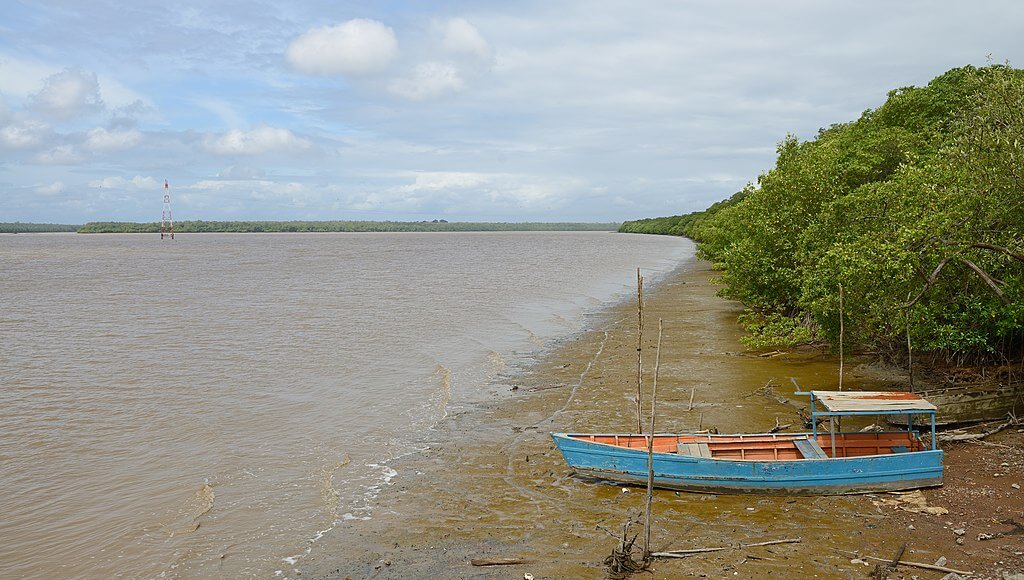 The Natural Landscape of French Guiana | LAC Geo