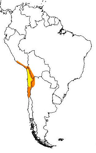 The Atacama Desert: Earth's Most Arid Frontier | LAC Geo