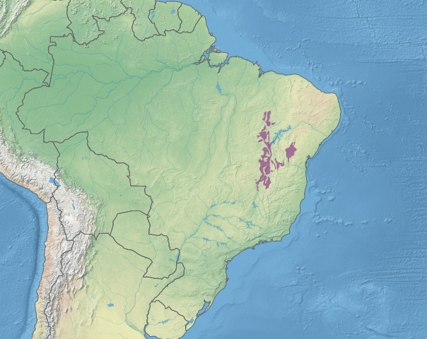The Atlantic Dry Forests of Brazil: Biodiversity & Conservation | LAC Geo