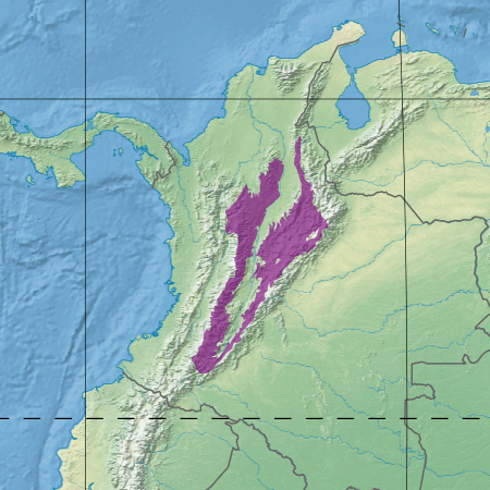 Magdalena Valley Montane Forests: Biodiversity Haven Under Threat | LAC Geo