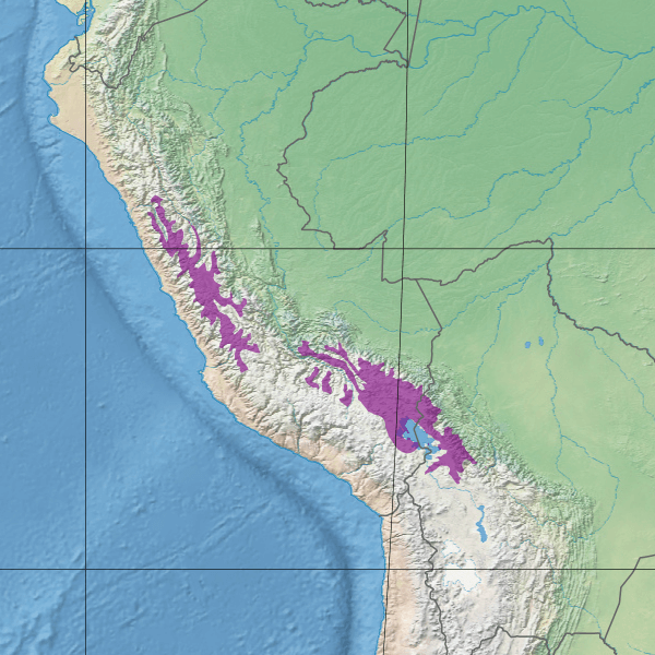 Central Andean Wet Puna: Where Mountains & Wetlands Converge | LAC Geo