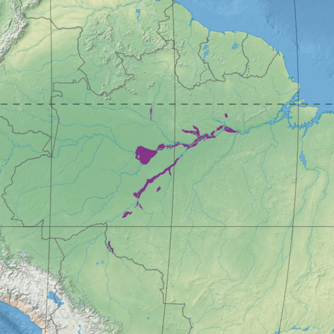 Várzea Forests: Seasonal Floodplain Ecoregions of the Amazon | LAC Geo