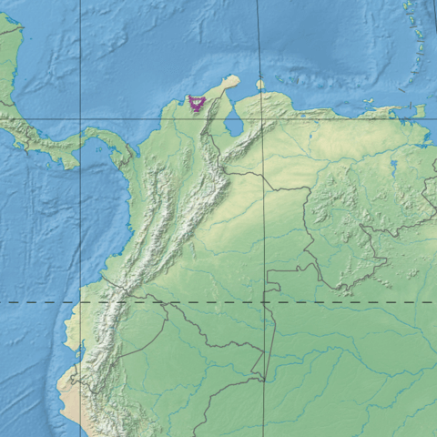 The Santa Marta Montane Forests: A Biogeographic Island of Endemism ...