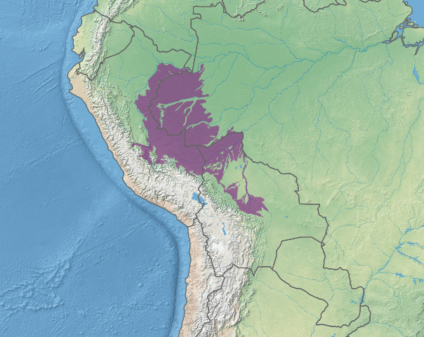 Southwest Amazon Moist Forests: A Biodiversity Haven | LAC Geo