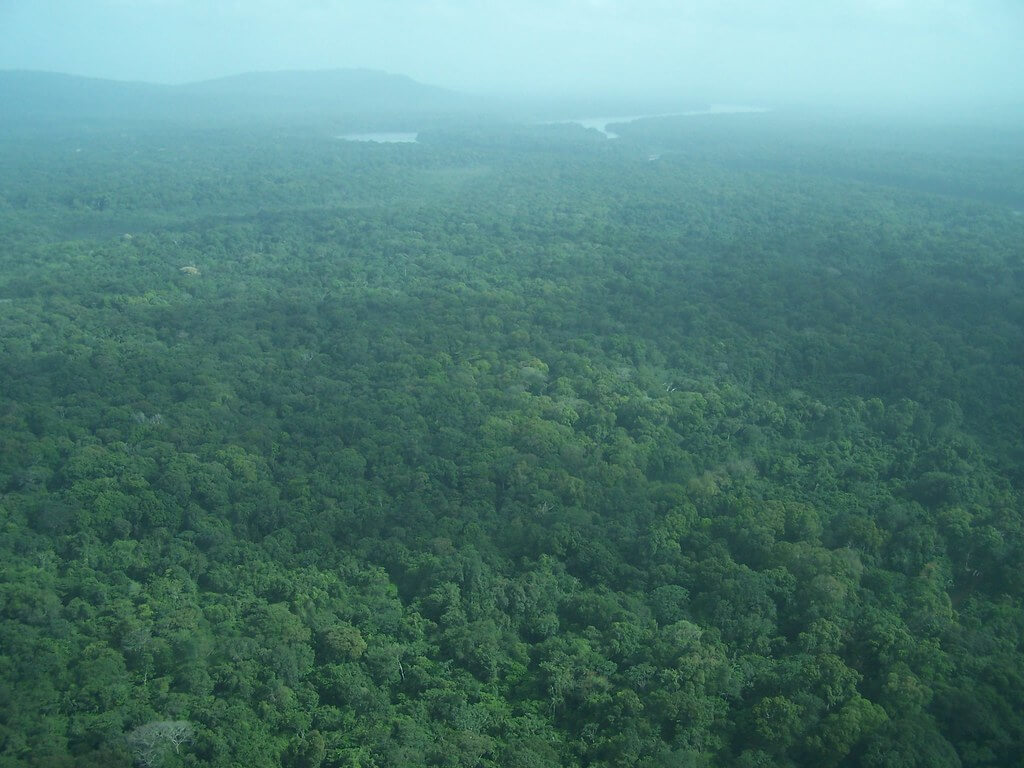 The Natural Landscape of Guyana | LAC Geo