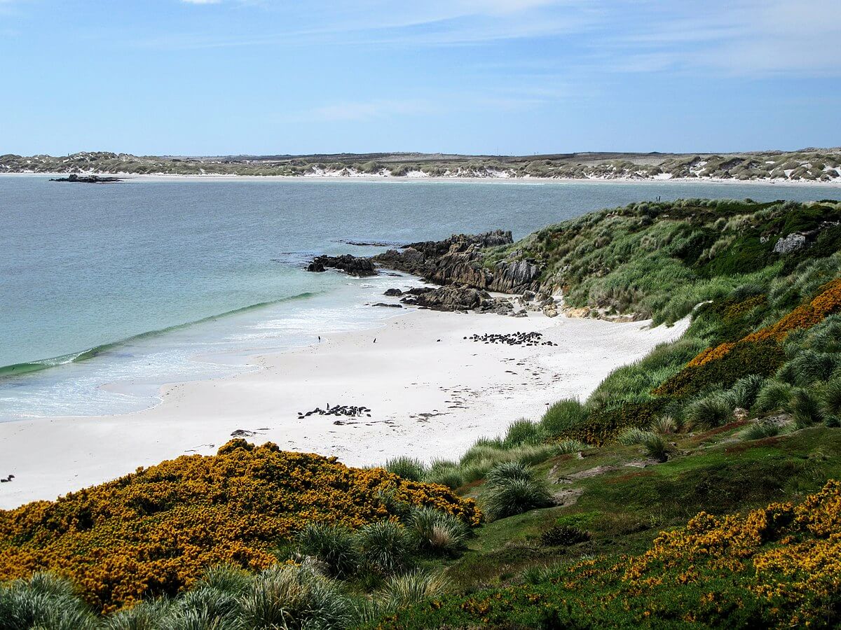 The Falkland Islands: An Archipelago in the South Atlantic | LAC Geo