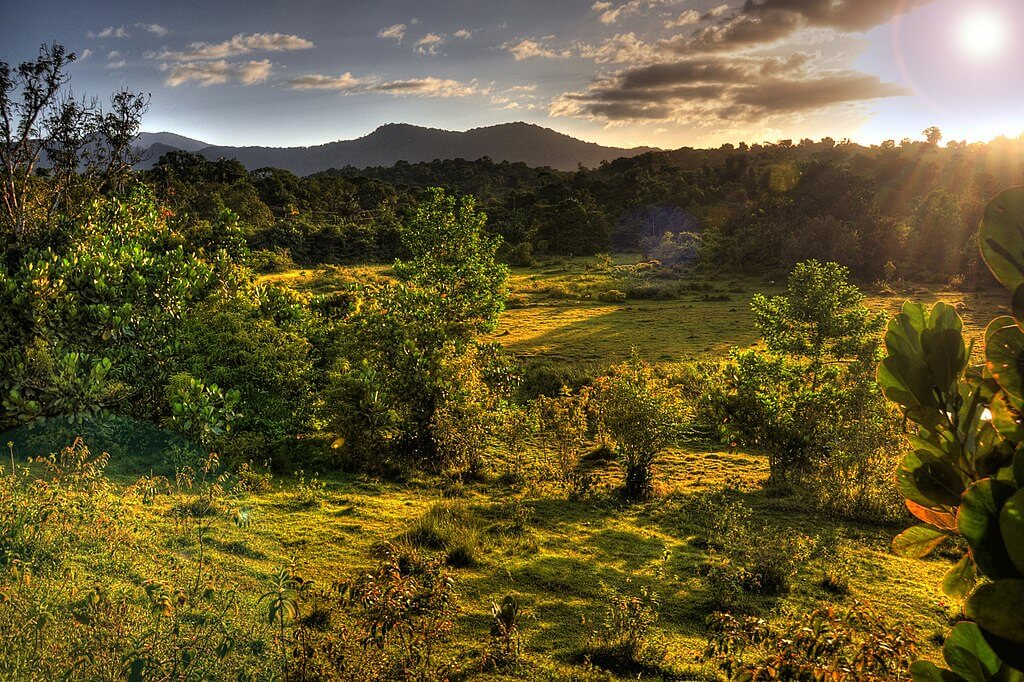 The Natural Landscape of Guyana | LAC Geo