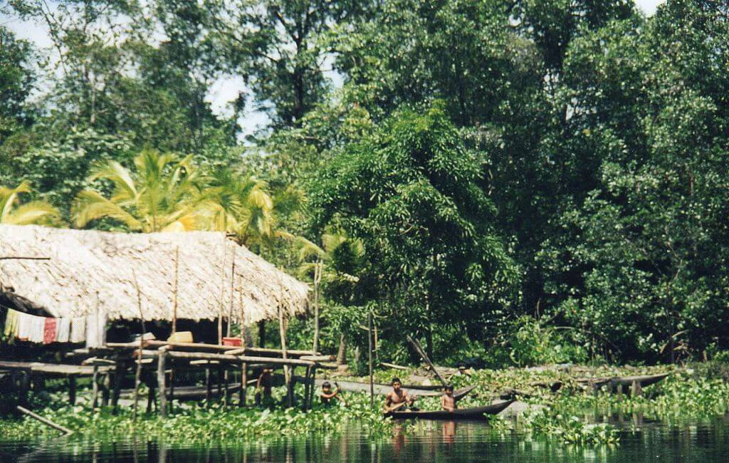 The Orinoco River: South America's Arc of Life | LAC Geo