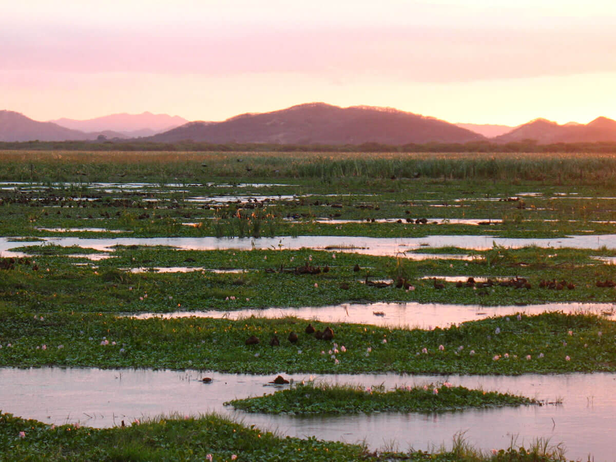 SINAC: Costa Rica's Blueprint for Conservation Success | LAC Geo