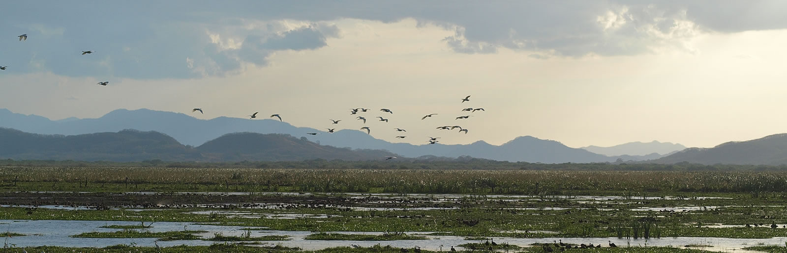 SINAC: Costa Rica's Blueprint for Conservation Success | LAC Geo