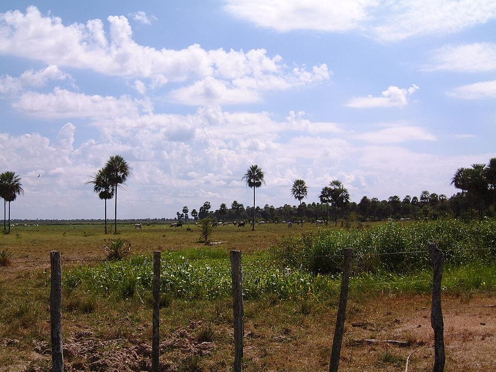 The Natural Landscape of Paraguay | LAC Geo