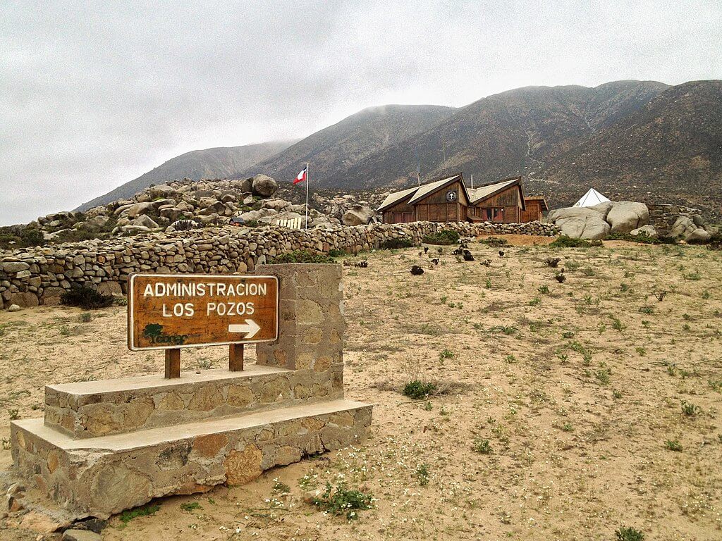 Llanos de Challe National Park: Chile's Coastal Desert Ecosystem | LAC Geo