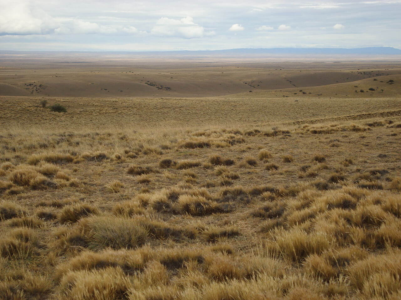 The Patagonian Desert: Navigating the Magellanic Steppe | LAC Geo