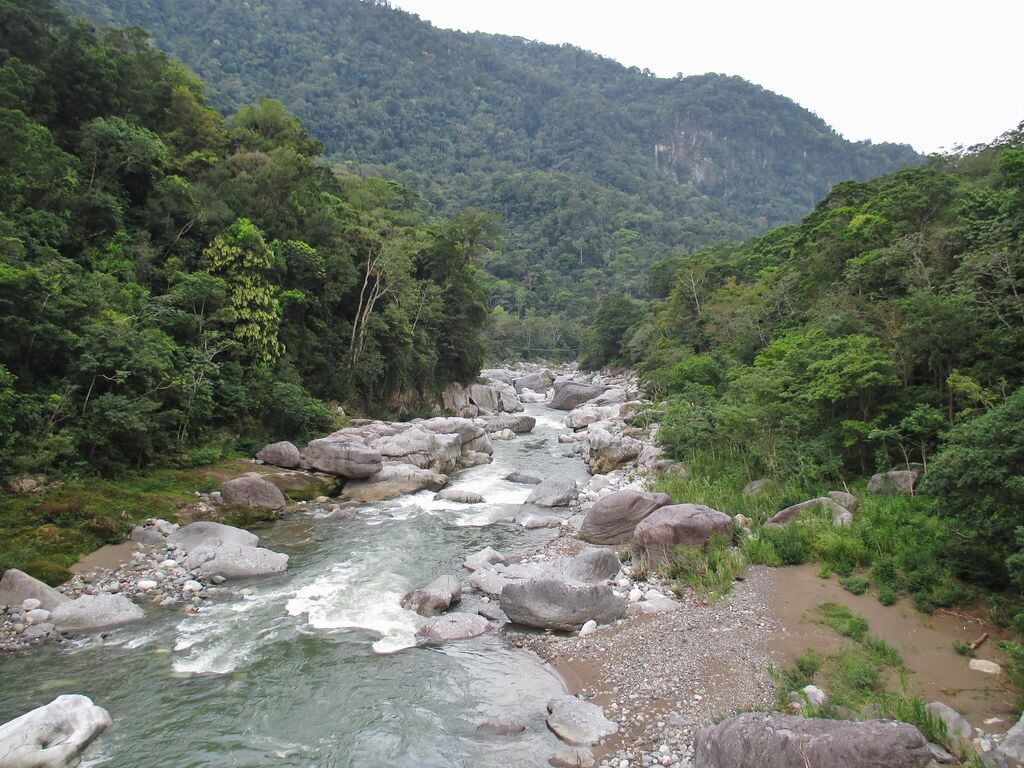 Pico Bonito National Park: Honduras's Biodiversity Haven | LAC Geo