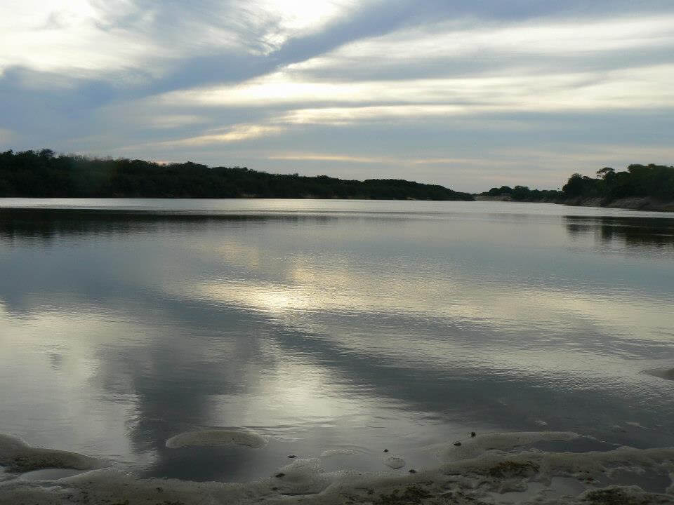 Venezuela's Aquatic Diversity: A Complete Guide | LAC Geo