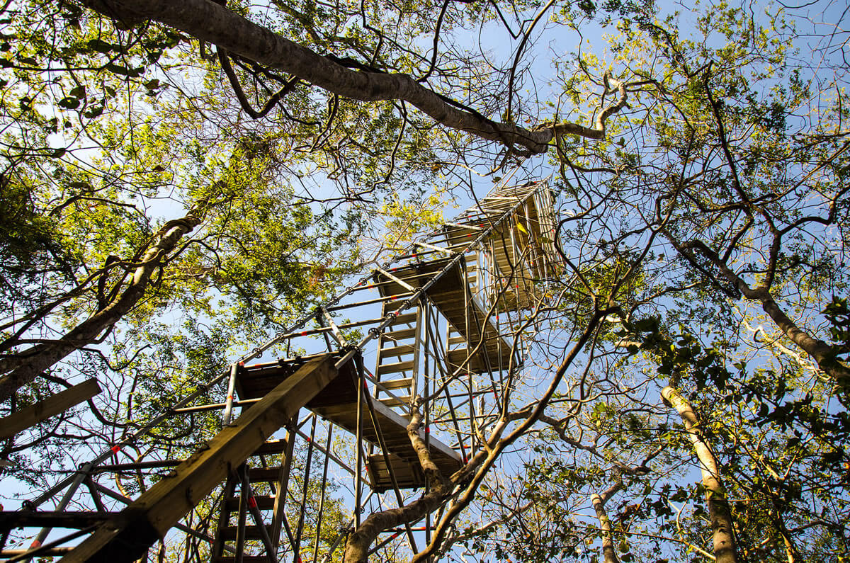 The Guanacaste Conservation Area: Costa Rica's Ecological Masterpiece ...