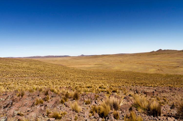 The Puna: Whispers of Wind Across the Andes | LAC Geo