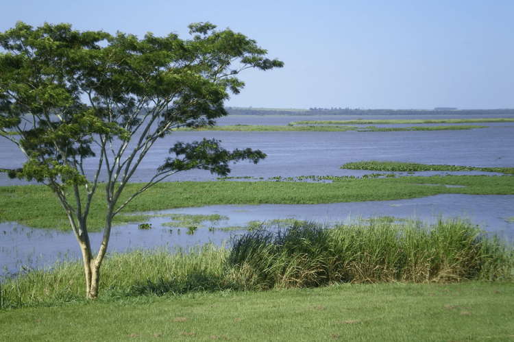The Natural Landscape of Paraguay | LAC Geo