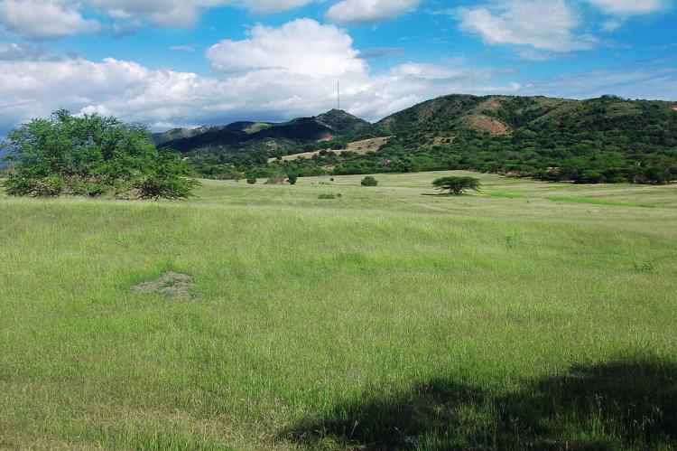 Puerto Rico's Mountain Ranges | LAC Geo