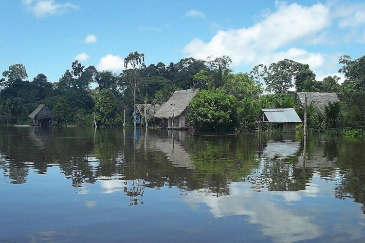 The Ucayali River: A Vital Amazonian Artery of Peru | LAC Geo