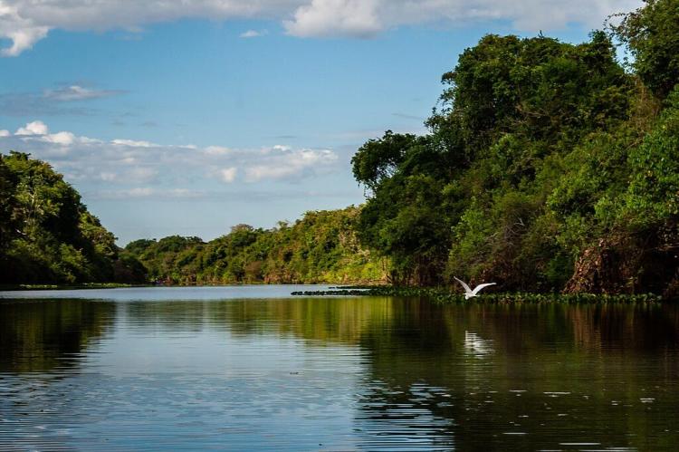 Brazil's Comprehensive Aquatic Landscape | LAC Geo