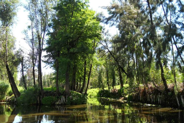 Xochimilco: Testament to Mexico's Rich Heritage | LAC Geo