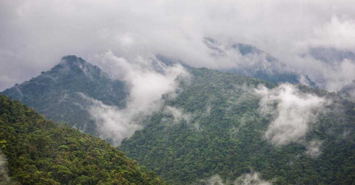 SINAC, Costa Rica's National System of Conservation Areas: Worldwide ...