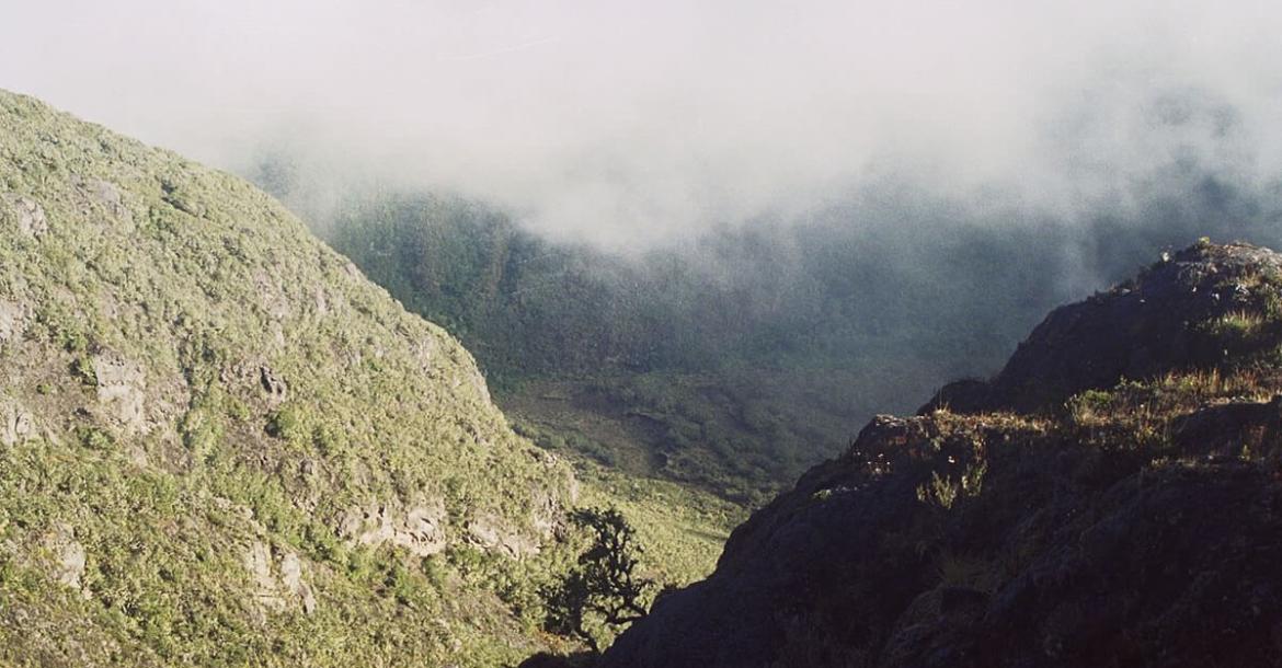 SINAC, Costa Rica's National System of Conservation Areas: Worldwide ...