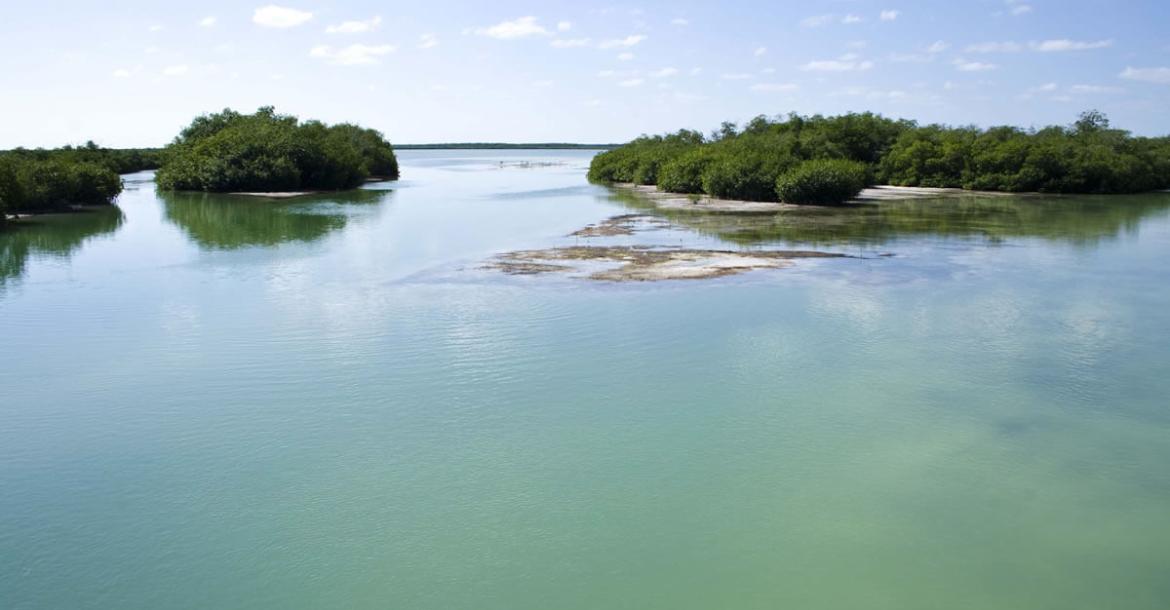 Mesoamerican Biological Corridor: Central America's Lifeline | LAC Geo