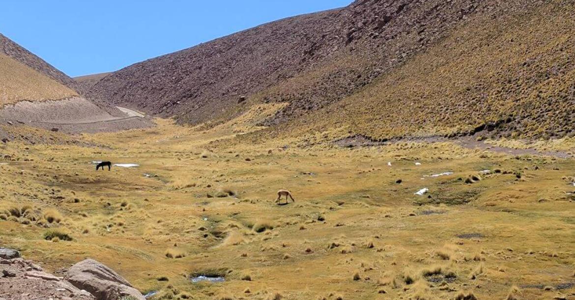 Latin America: Geography, Biodiversity, and Culture | LAC Geo