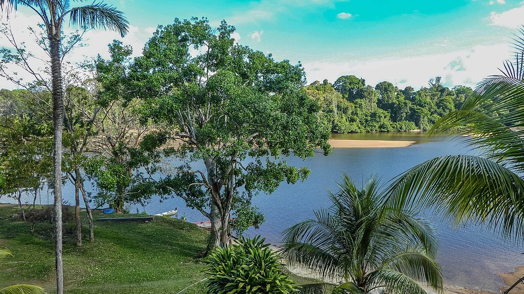 The Natural Landscape of Suriname | LAC Geo