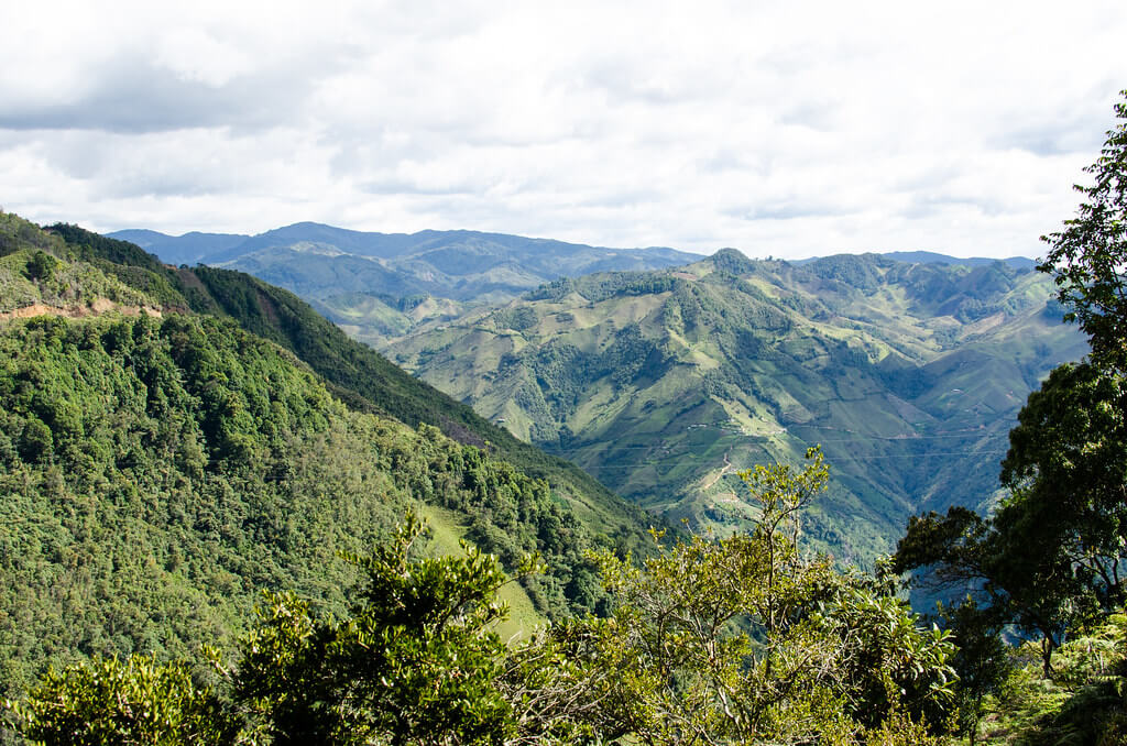 Northwestern Andean Montane Forests: A Biodiversity Hotspot | LAC Geo