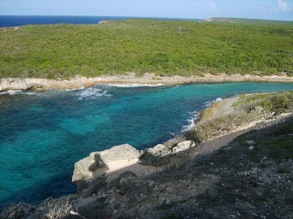 The Leeward Islands Xeric Scrub: A Resilient Ecosystem | LAC Geo